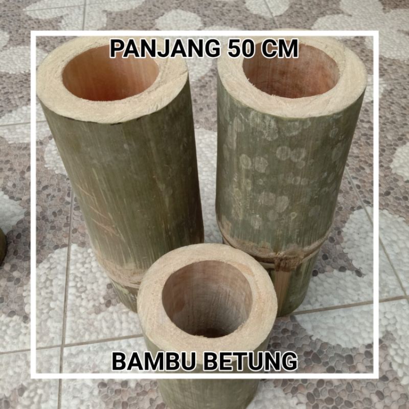 Jual Potongan Bambu Petung / Betung Premium 50 cm Lebih Tebal Untuk ...