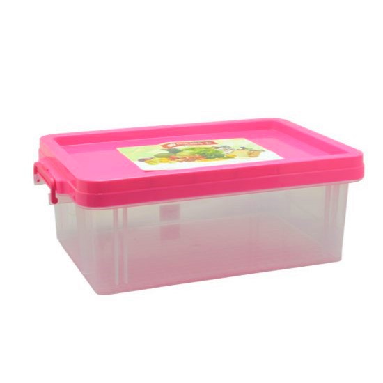 Jual LIONSTAR FX 4 CLEAR BOX NO 20 KOTAK PENYIMPANAN SERBAGUNA LION ...