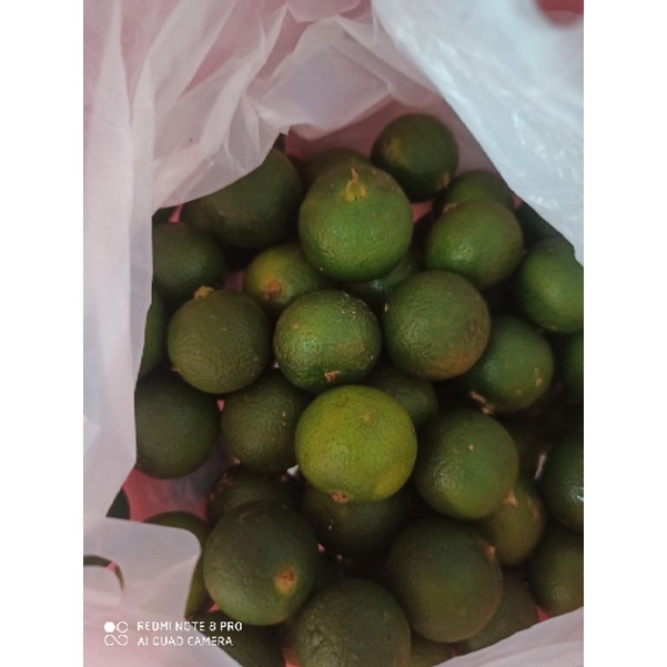 Jual jeruk sonkit/jeruk asem bangka 100gr | Shopee Indonesia