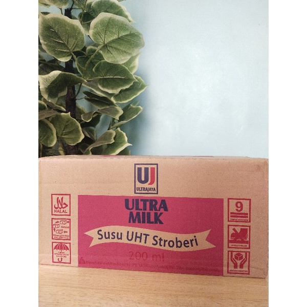 Jual SUSU ULTRAMILK 200ml STROBERI | Shopee Indonesia