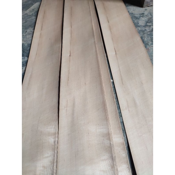Jual Veneer kayu maple plain import | Shopee Indonesia