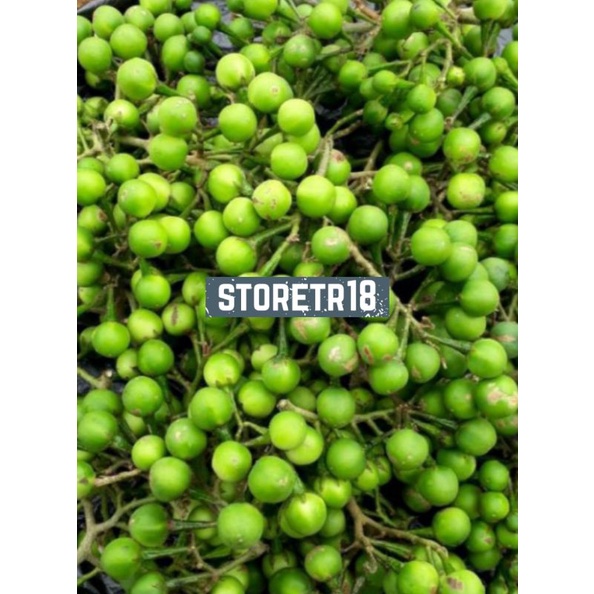 Jual Buah Cepokak atau Takokak Paket 500 gram | Shopee Indonesia