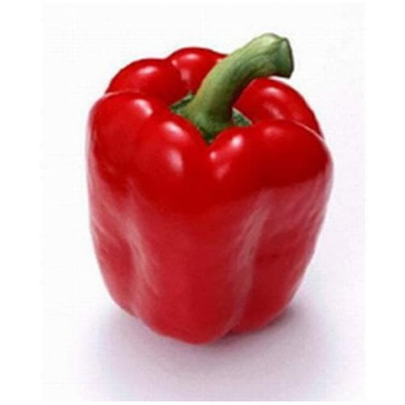 Jual Paprika Segar /pcs (Merah/Kuning/Hijau) | Shopee Indonesia