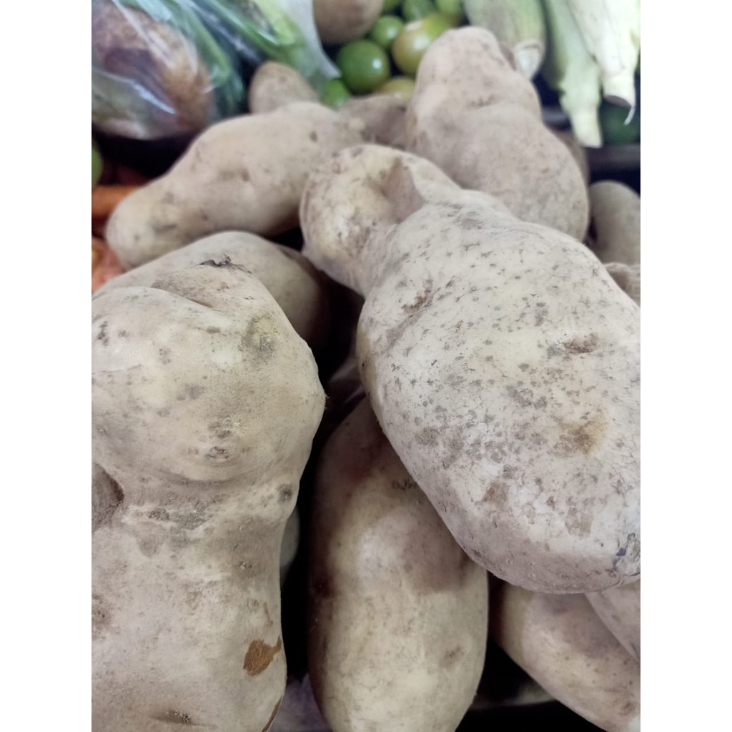 Jual Kentang Besar (Super) | Shopee Indonesia