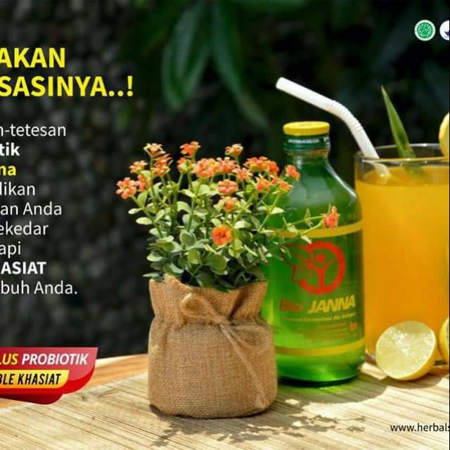 Jual Biojanna Minuman Fementasi Air Kelapa Bio jana Bio janna 330ml 330 ...