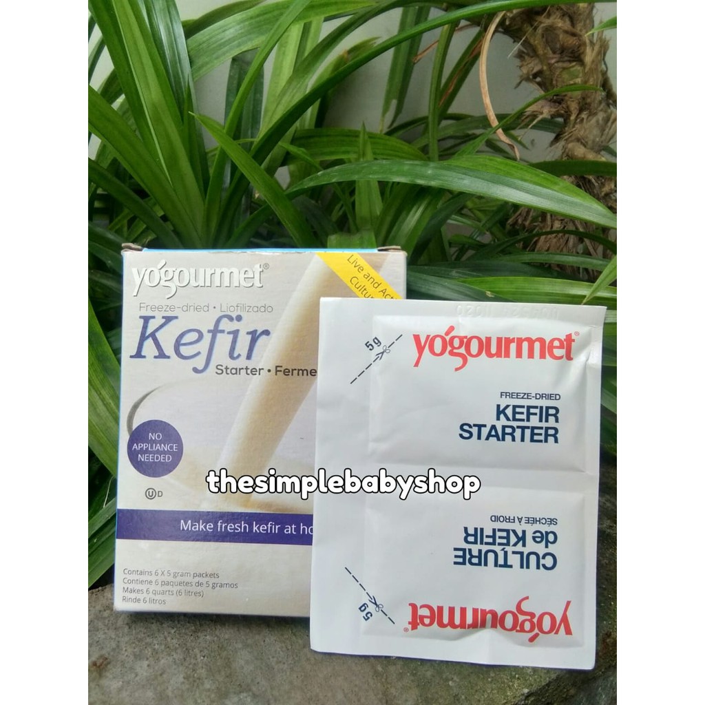 Jual Bibit Yogurt Kefir Starter | Shopee Indonesia