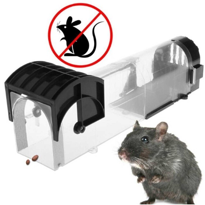 Jual Jebakan Perangkap Tikus Mouse Trap Cage / Jebakan Tikus Membunuh ...
