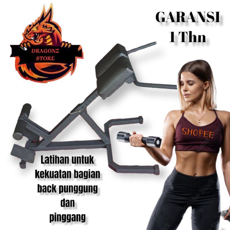 Jual Bench stand up back extension gym | Shopee Indonesia