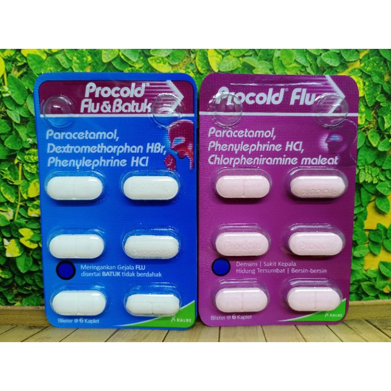 Jual PROCOLD FLU BATUK , PROCOLD FLU | Shopee Indonesia