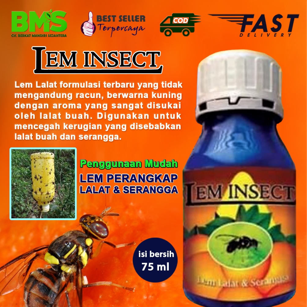 Jual LEM INSECT LEM PERANGKAP LALAT BUAH DAN SERANGGA | Shopee Indonesia