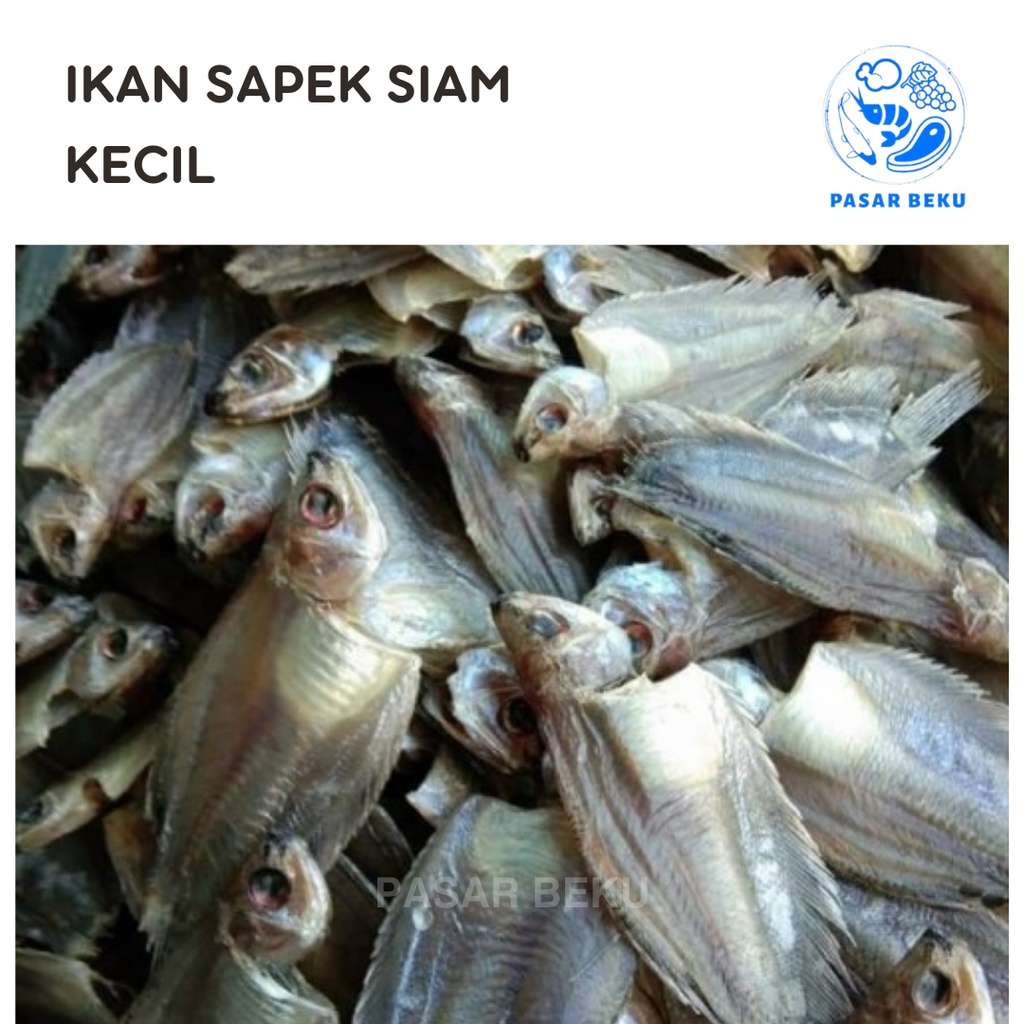 Jual Ikan Asin Sapek Siam 250 Gram Ikan Sepat Khas MInang Pasar Beku ...