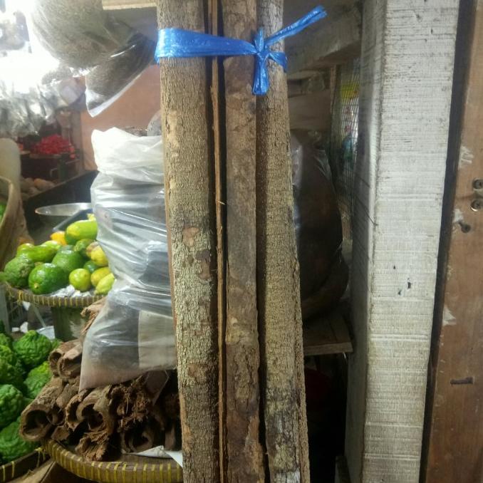 Jual ASLI kayu laru buat obat diabetes dan tuak Murah | Shopee Indonesia