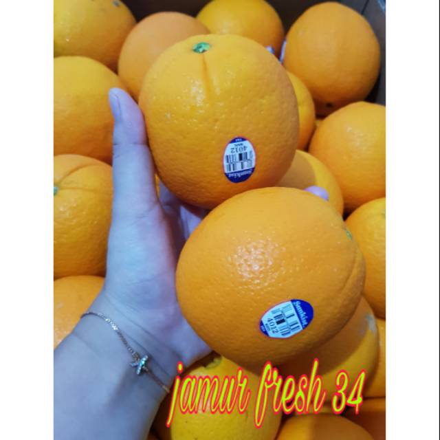 Jual Jeruk sunkist 1kg | Shopee Indonesia