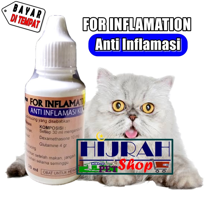Jual Obat Kucing Obat Anti Radang Kucing Obat Anti Inflamasi Kucing ...