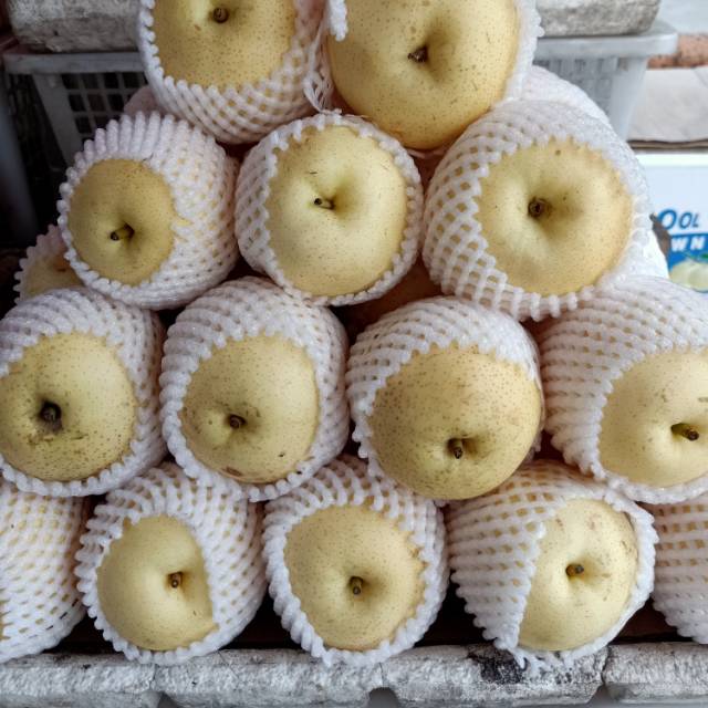 Jual Buah pir per 1000 gram | Shopee Indonesia
