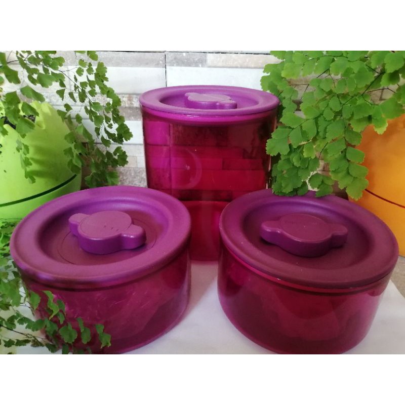 Jual Premiere Collection tupperware ungu set / toples tupperware ...
