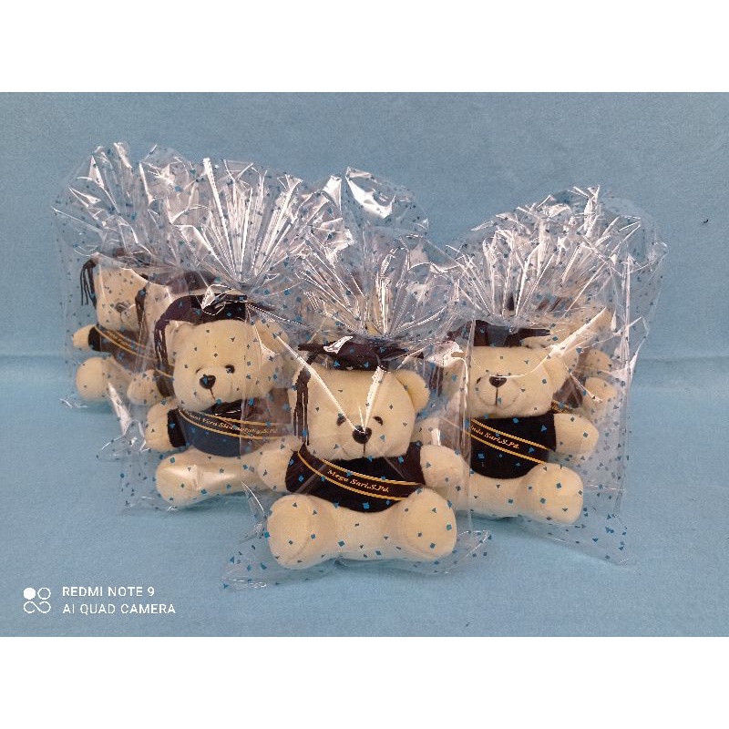 Jual PAKET MURAH BONEKA WISUDA PARCEL DAN SELEMPANG | Shopee Indonesia