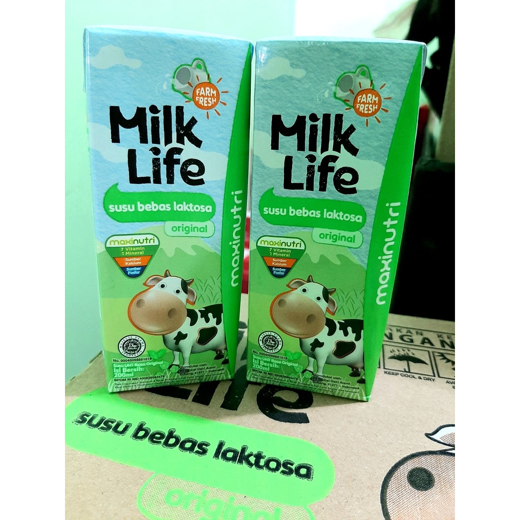 Jual Milk Life UHT Bebas Laktosa / Lactose Free 200 ml [Satuan] | Shopee Indonesia