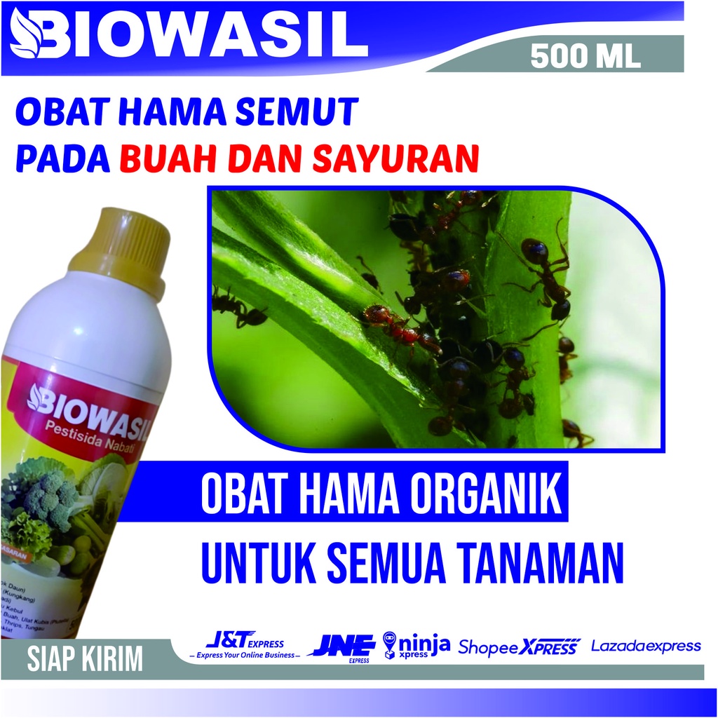 Jual Pestisida Nabati BIOWASIL Obat Hama Semut Api Paling Ampuh - Atasi ...