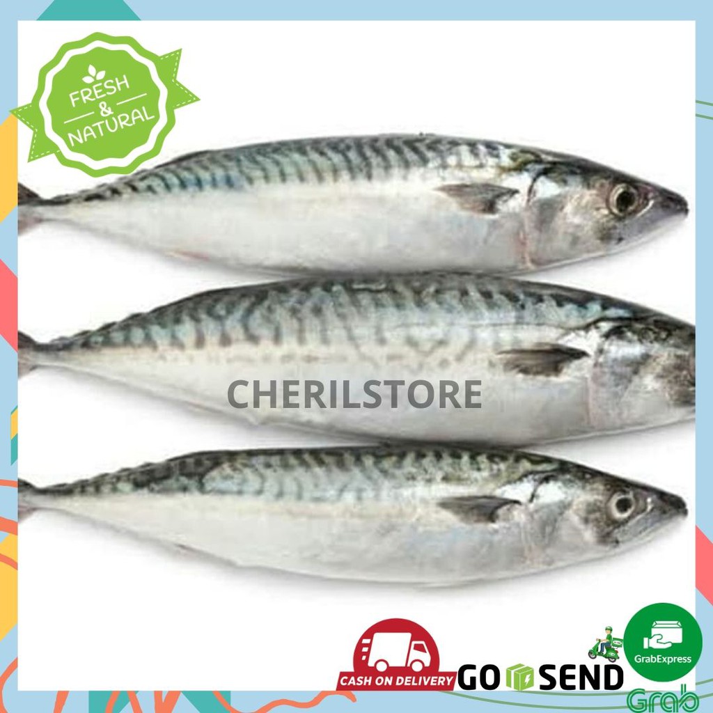 Jual IKAN GEMBUNG 500GRAM | Shopee Indonesia
