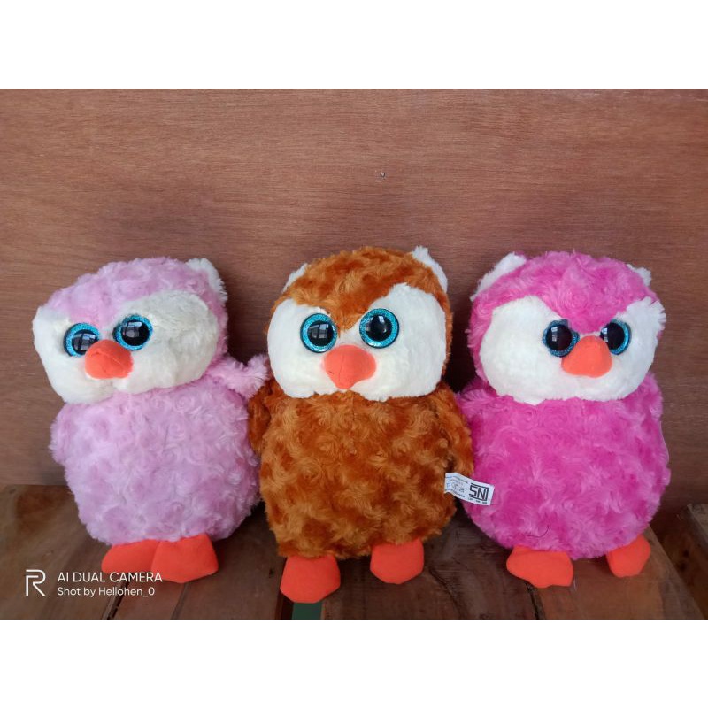 Jual Boneka burung hantu/Owl | Shopee Indonesia