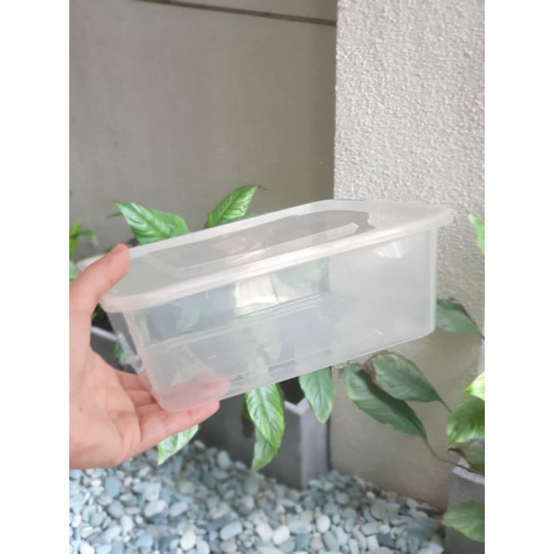 Jual Thinwall Square Victory 2000ml / Thinwall Kotak 2000ml. Isi 25pcs ...