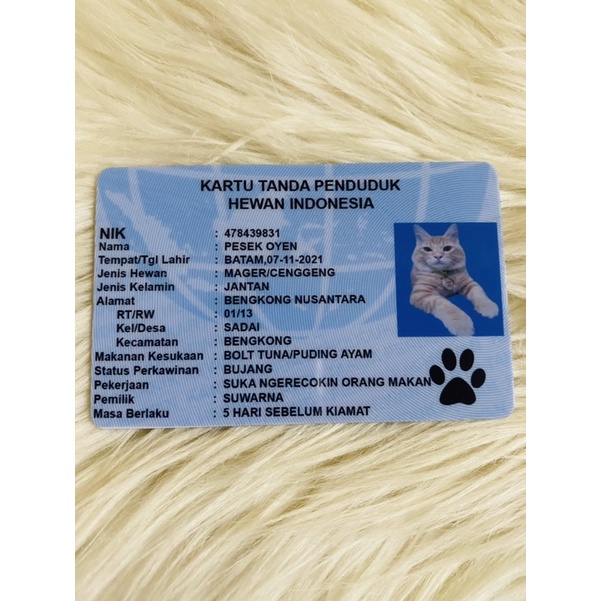 Jual Cetak Kartu Tanda Pengenal Hewan | Kartu Kucing | Kartu Anjing ...