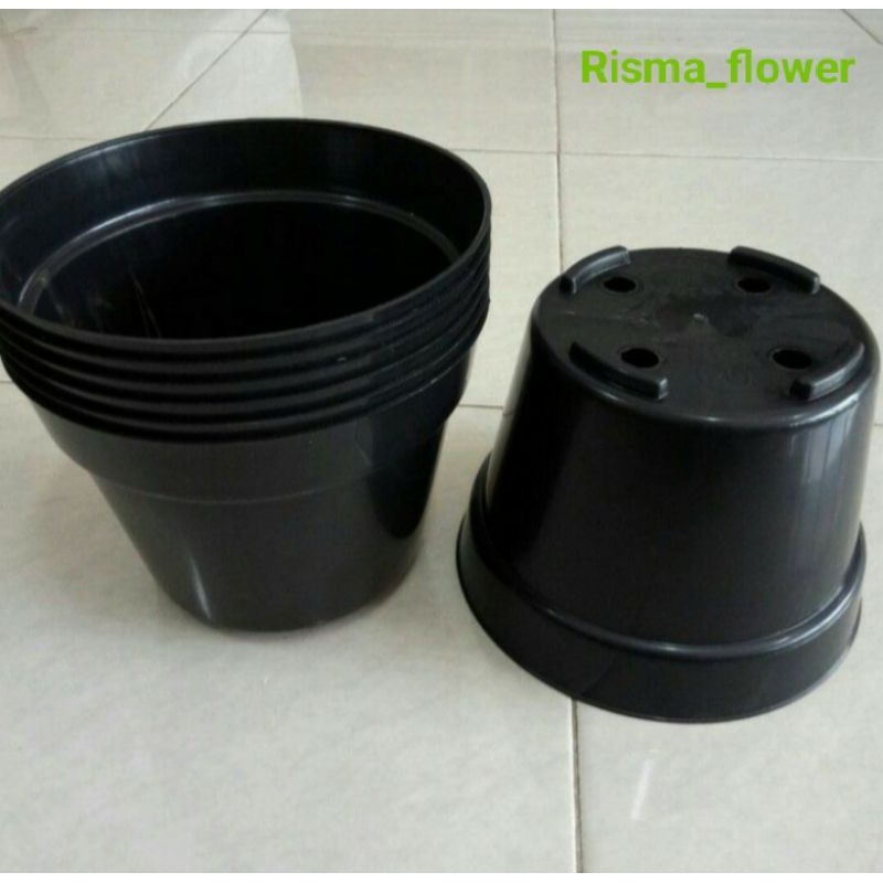 Jual Pot tanaman ukuran 15 cm / pot tanaman | Shopee Indonesia