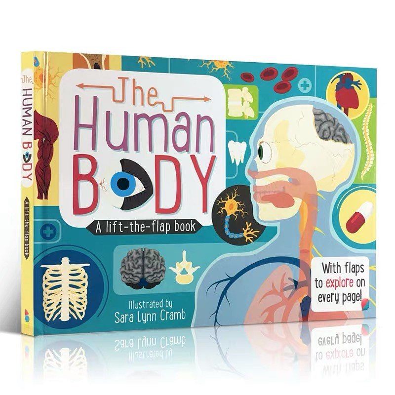 Jual A lift flap book: The Human Body | Shopee Indonesia