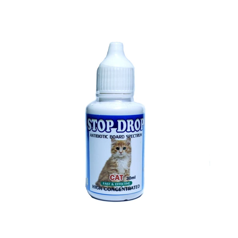 Jual Antibiotik Obat Demam dan Gejala Virus pada Kucing STOP DROP ...