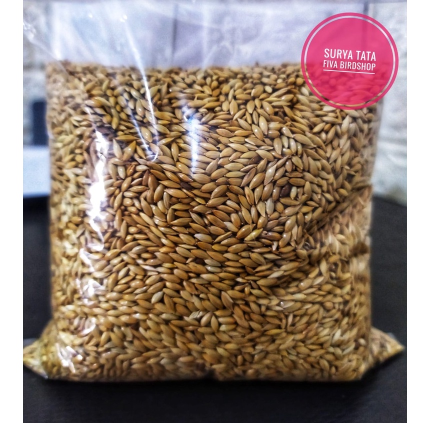 Jual Kenari Seed 1KG Murni Vita Pakan burung love bird kenari parkit ...