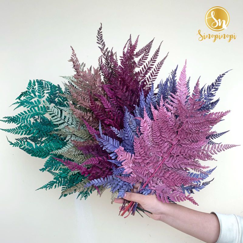 Jual BUNGA DAUN PAKIS | DRIED FLOWER RUSTIC TANAMAN LAMARAN NIKAH ...