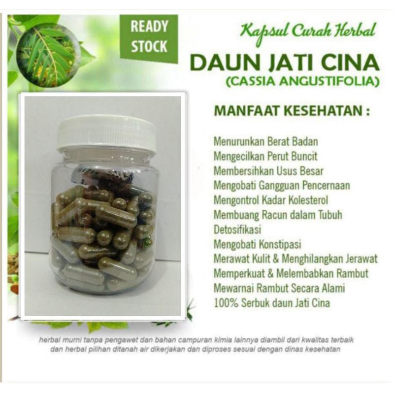 Jual PELANGSING ALAMI DAUN JATICINA SERBUK BENTUK KAPSUL (isi 100 Pcs ...
