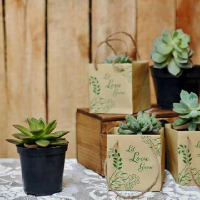 Jual Paper bag pot | Shopee Indonesia