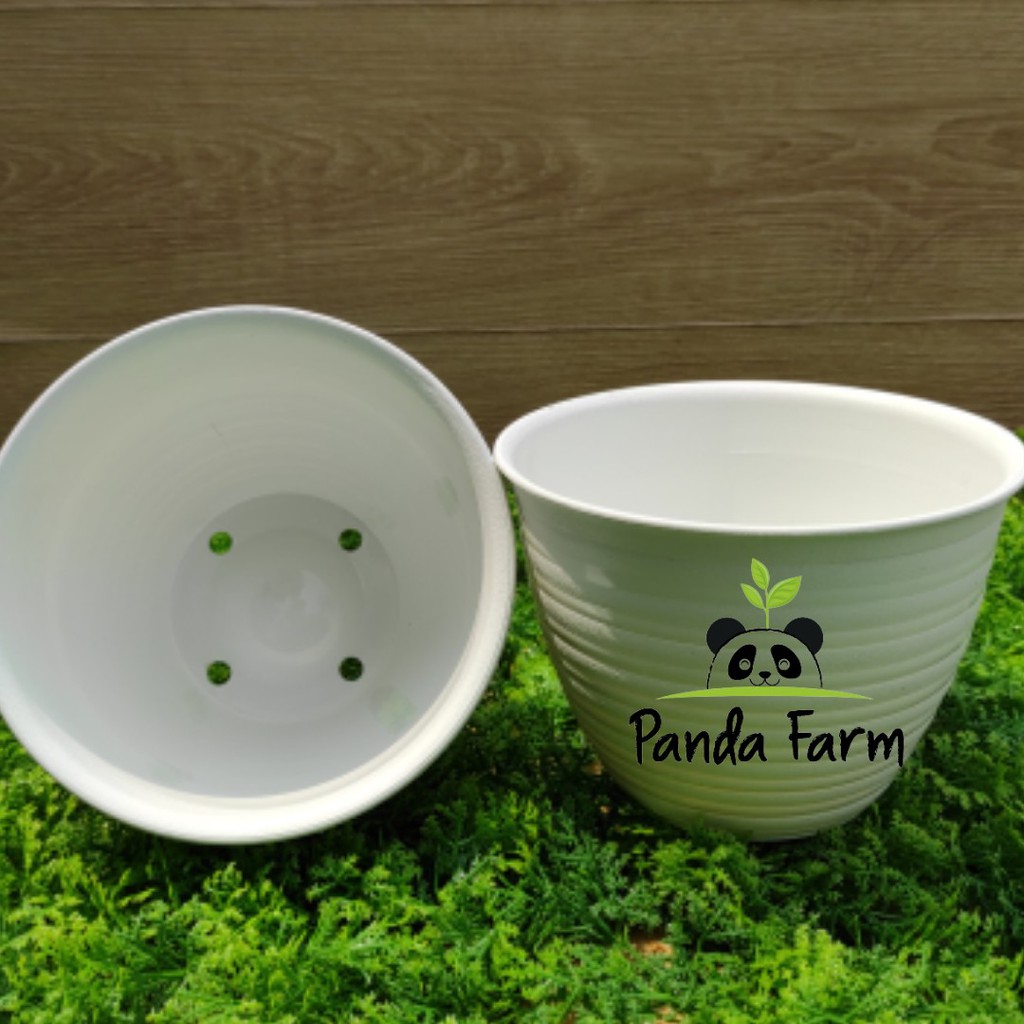 Jual Pot tawon no 15 putih | Shopee Indonesia