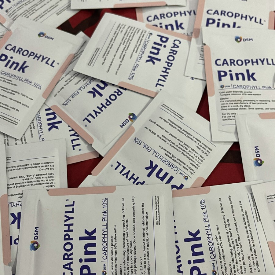 Jual CAROPHYLL PINK DSM ORIGINAL 5 GRAM | Shopee Indonesia