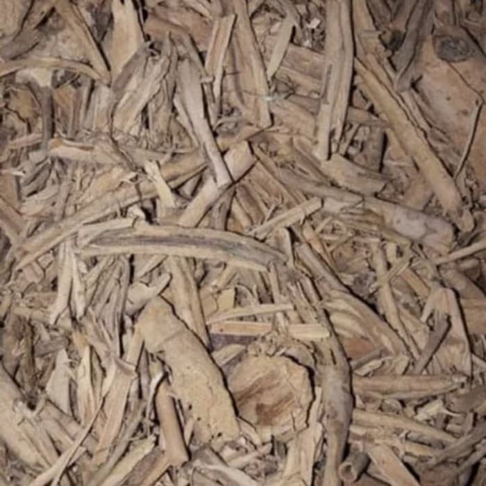 Jual Pulosari Kering / Herbal Pulasari Kering / Obat Herbal Alami (1kg ...