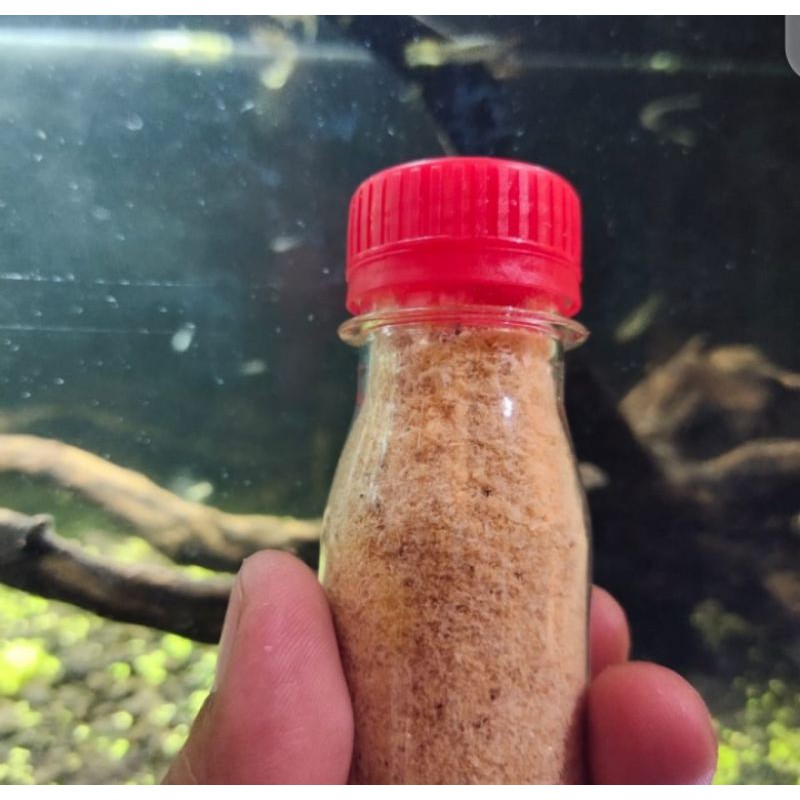 Jual baby shrimp 35gr/pakan ikan kecil burayak baby shrimp 35 gr/pakan ... Jual baby shrimp 35gr/pakan ikan kecil burayak baby shrimp 35 gr/pakan ...