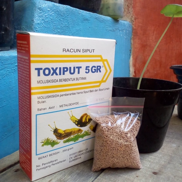 Jual Toxiput 5 GR repack 10 , 25 , 50 gram | Shopee Indonesia