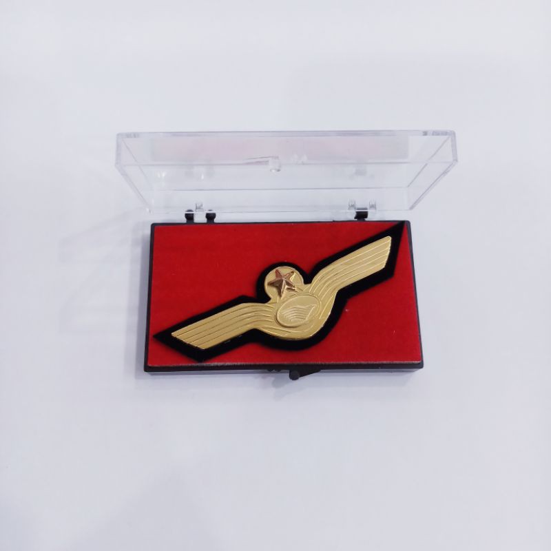 Jual Wing Pilot Original Garuda Indonesia - Lion - Sriwijaya - Citilink ...