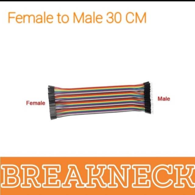 Jual Kabel Jumper Arduino Female to Male 30 CM | Shopee Indonesia