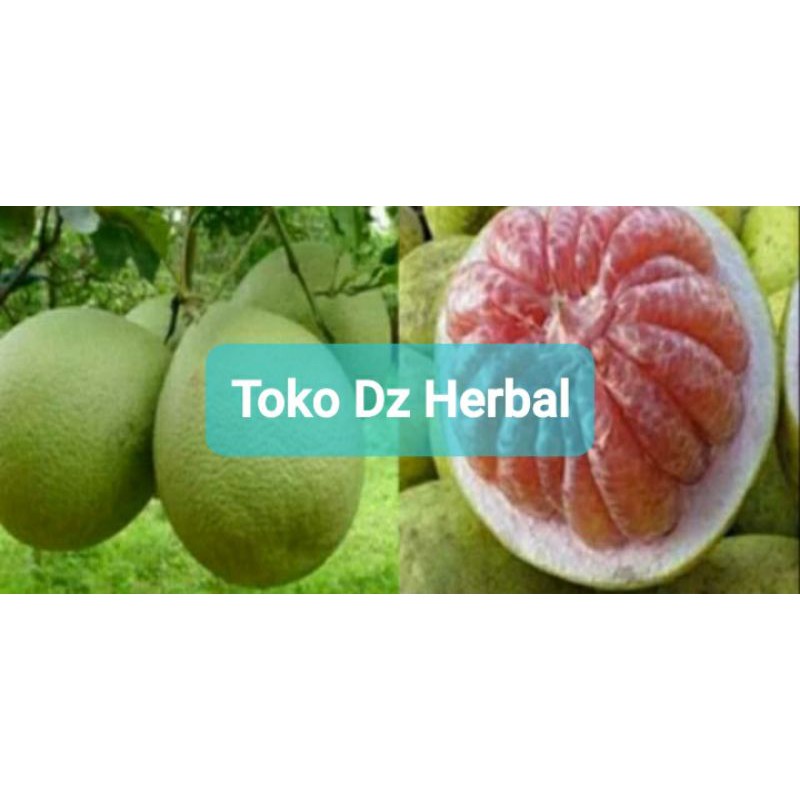 Jual Buah jeruk bali merah segar perbuah | Shopee Indonesia