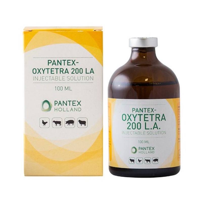 Jual antibiotik luka kulit obat PMK OTC pantex, OXYTETRA 200 LA ...