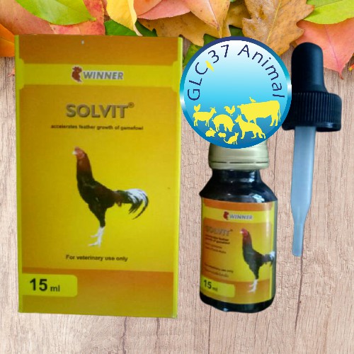Jual Solvit winner laga multivitamin ayam pada masa rontok bulu/mabung | Shopee Indonesia
