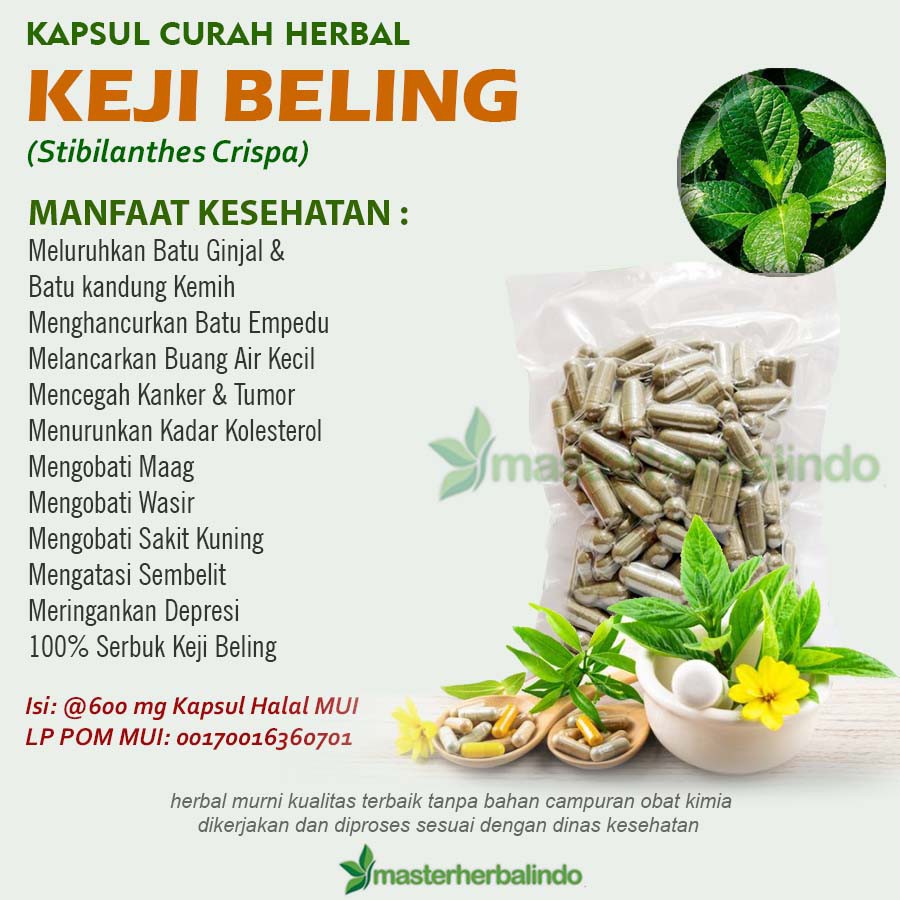 Jual Kapsul Curah Herbal KEJI BELING 200x600mg Batu Ginjal Alergi ...