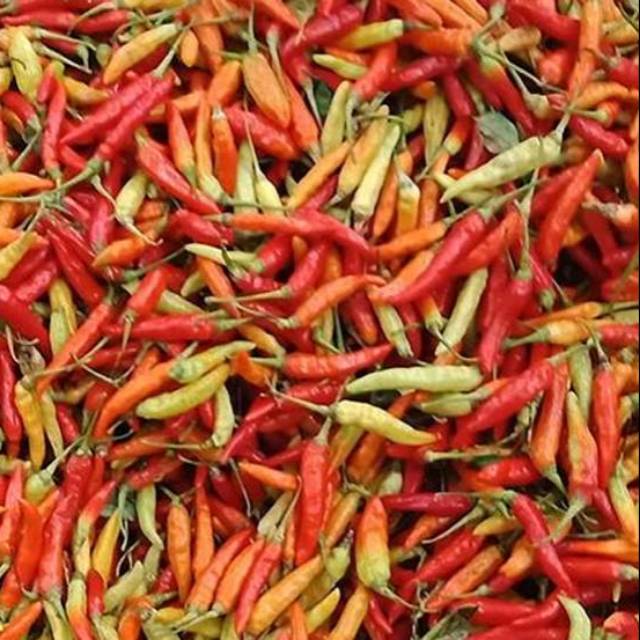 Jual Cabe Rawit Segar 250g | Shopee Indonesia