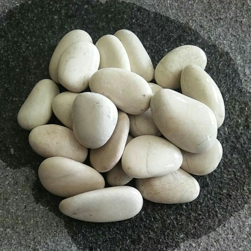 Jual batu coral putih kemasan 1kg | Shopee Indonesia