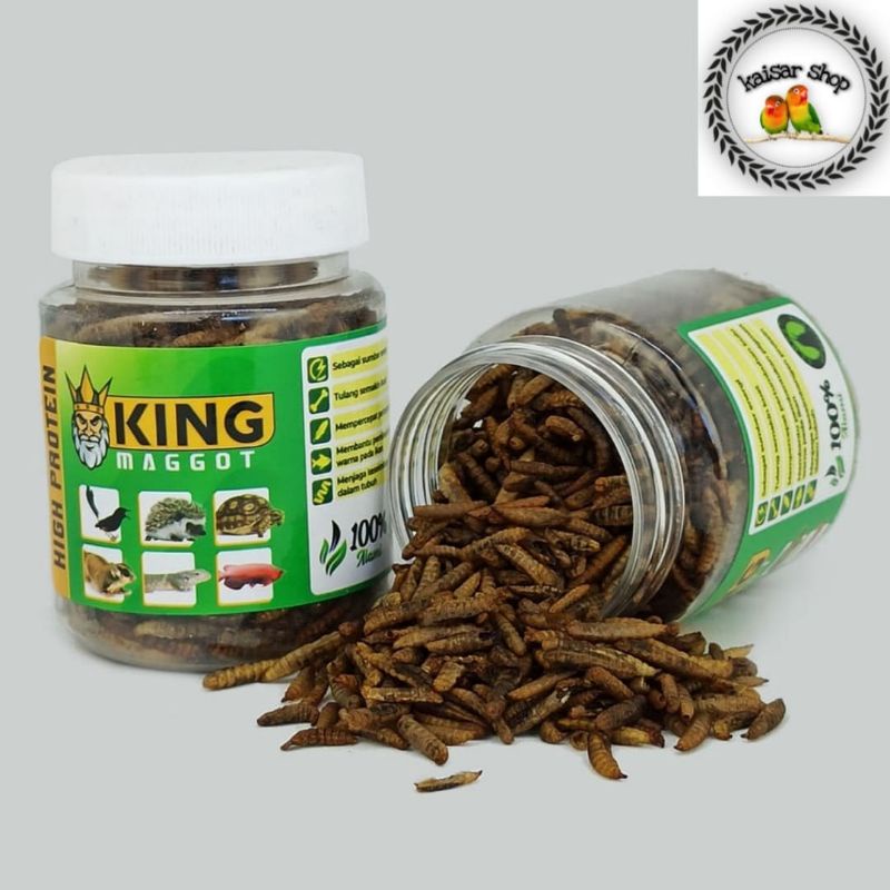 Jual Super Magot Kering maggot DRY FRESH Pakan Hamster Snack sugar ...