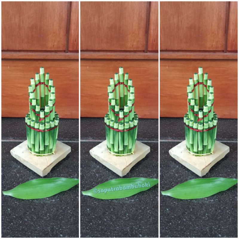 Jual Bambu Hoki / Bambu Rejeki 1 Paket 3 Pohon [ Mahkota, Susun 3 ...