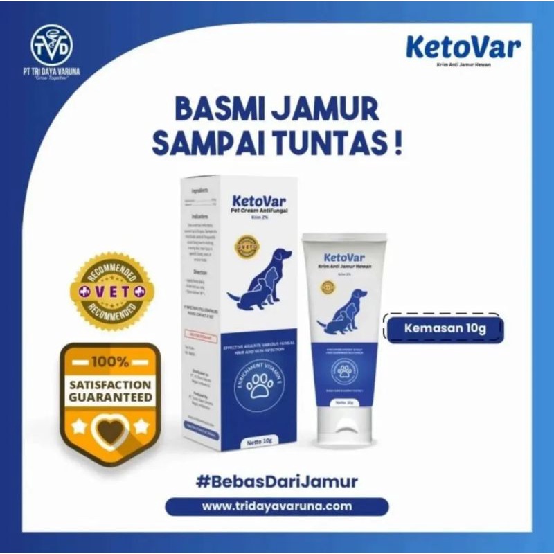 Jual KETOVAR Obat Salep Jamur Ringworm Kucing Anjinh 10gr | Shopee ...